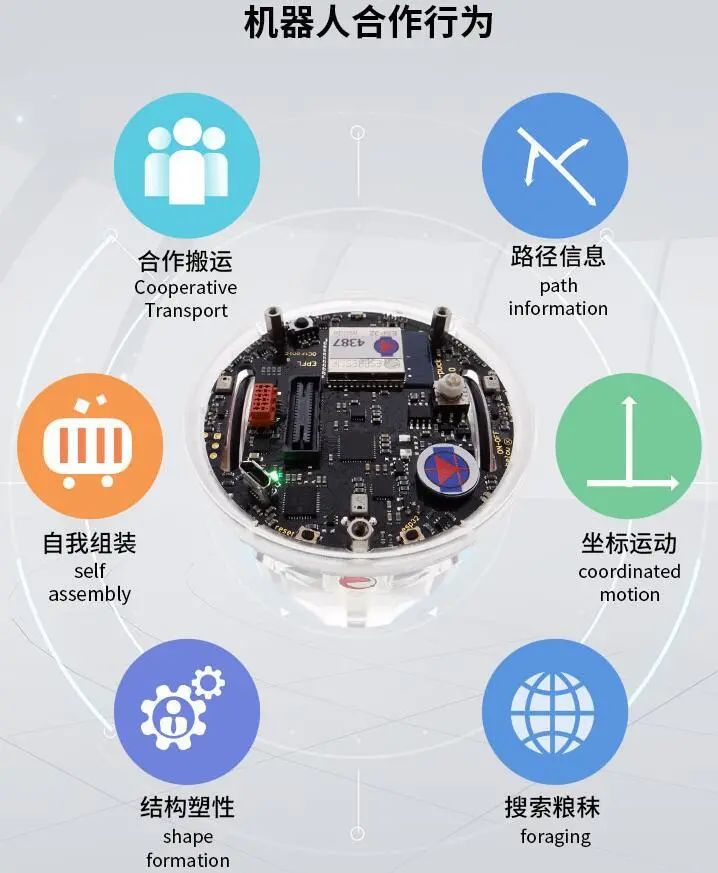 机器人协作中的“智慧领袖”——E-puck 2.0机器人_epuck-CSDN博客