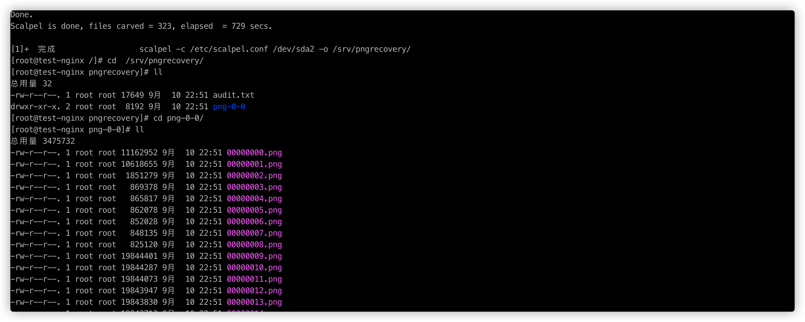 linux使用rm -rf删除数据后恢复_centos7恢复刚才rm -rf删除的目录-CSDN博客