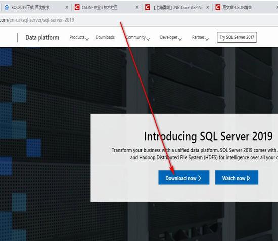 SQL Server 2019安装教程_sql2019安装功能要全选吗-CSDN博客