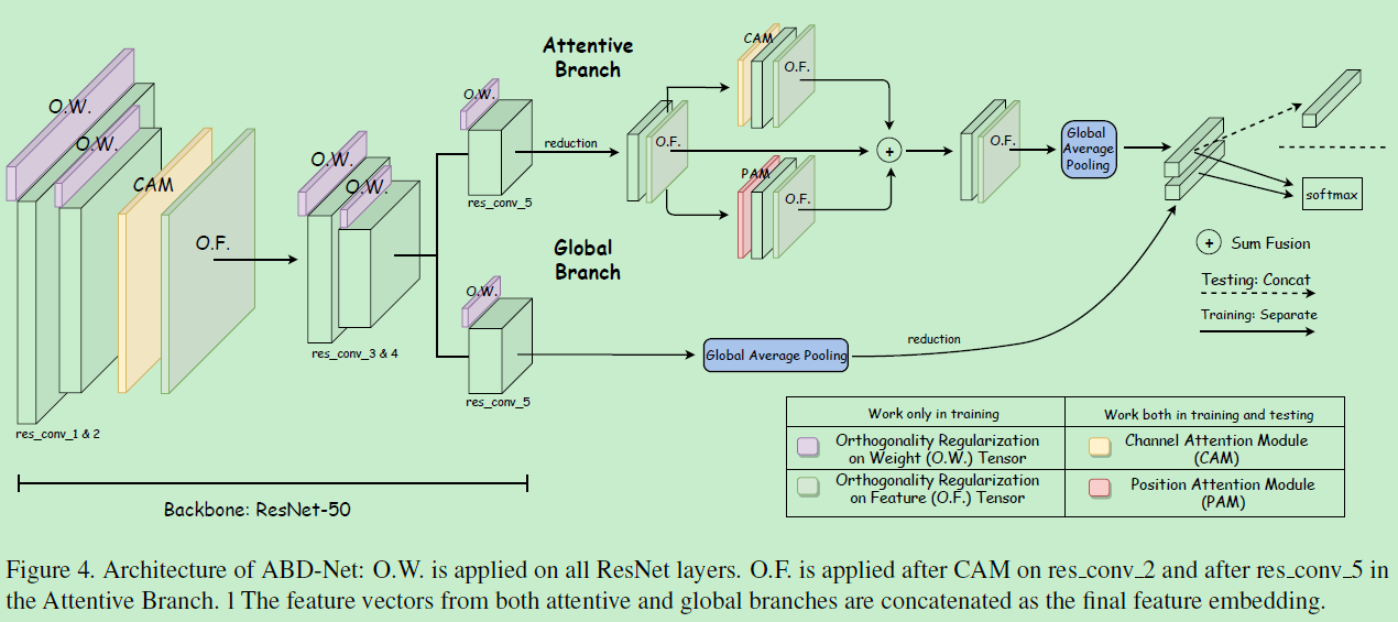 【ReID】ABD-Net: Attentive but Diverse Person Re-Identification_abdnet ...
